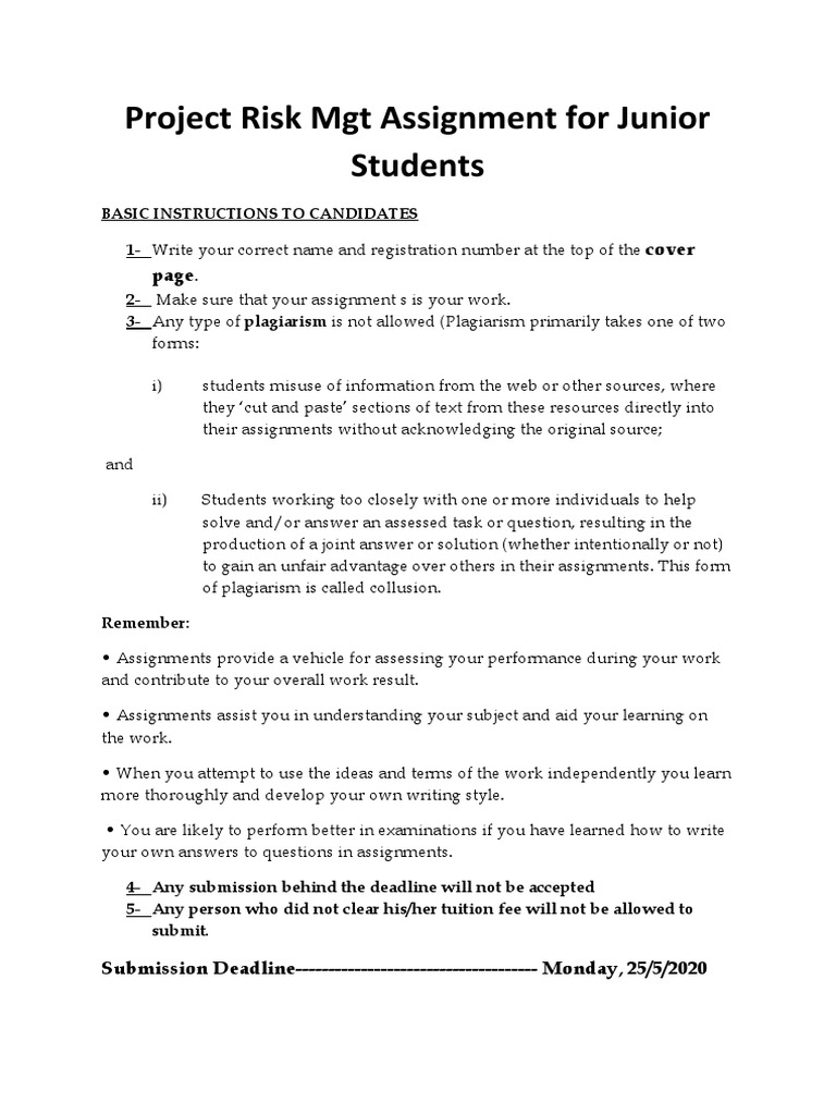 Project Risk MGT Assignment For Junior Students | PDF | Risk | Risk ...