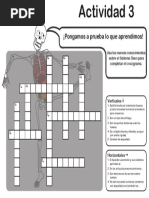 Sopa de Letras del Sistema Óseo | PDF