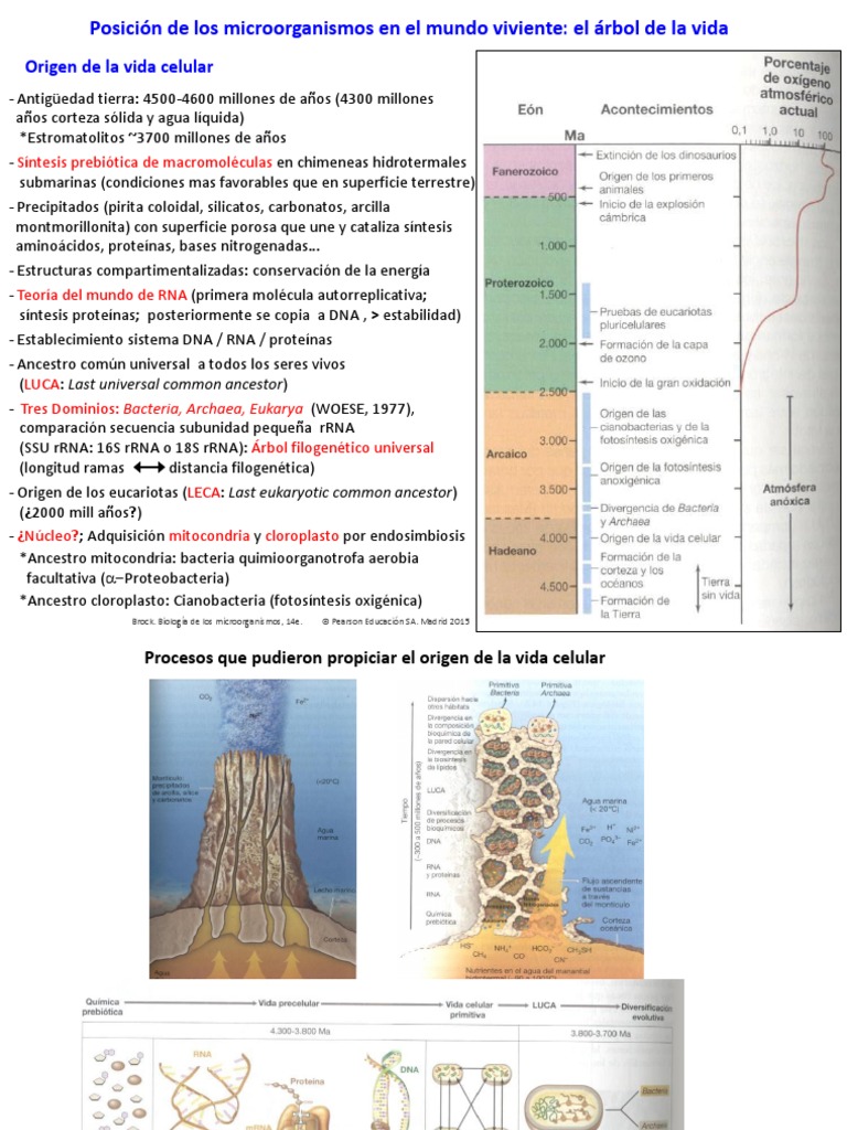 Tema 2. Posicion de Los Microorganismos en El Mundo Viviente | PDF ...