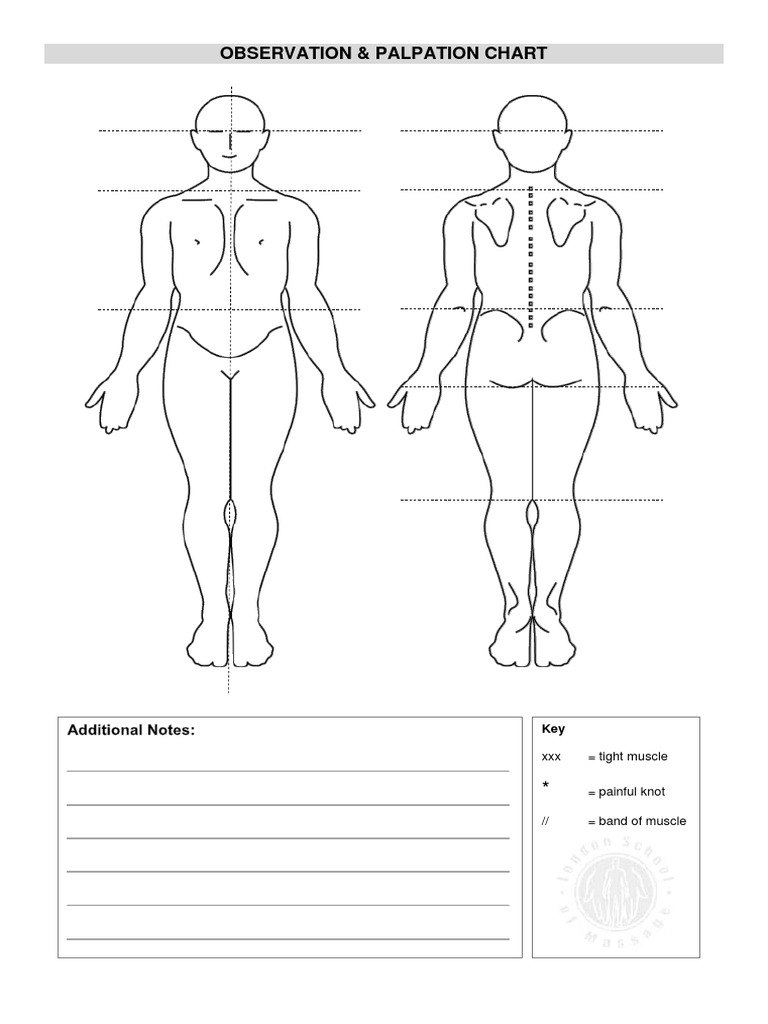 Observation & Palpation Chart: Key Key | PDF
