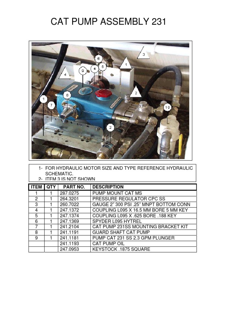 Cat Pump Assembly 231 | PDF