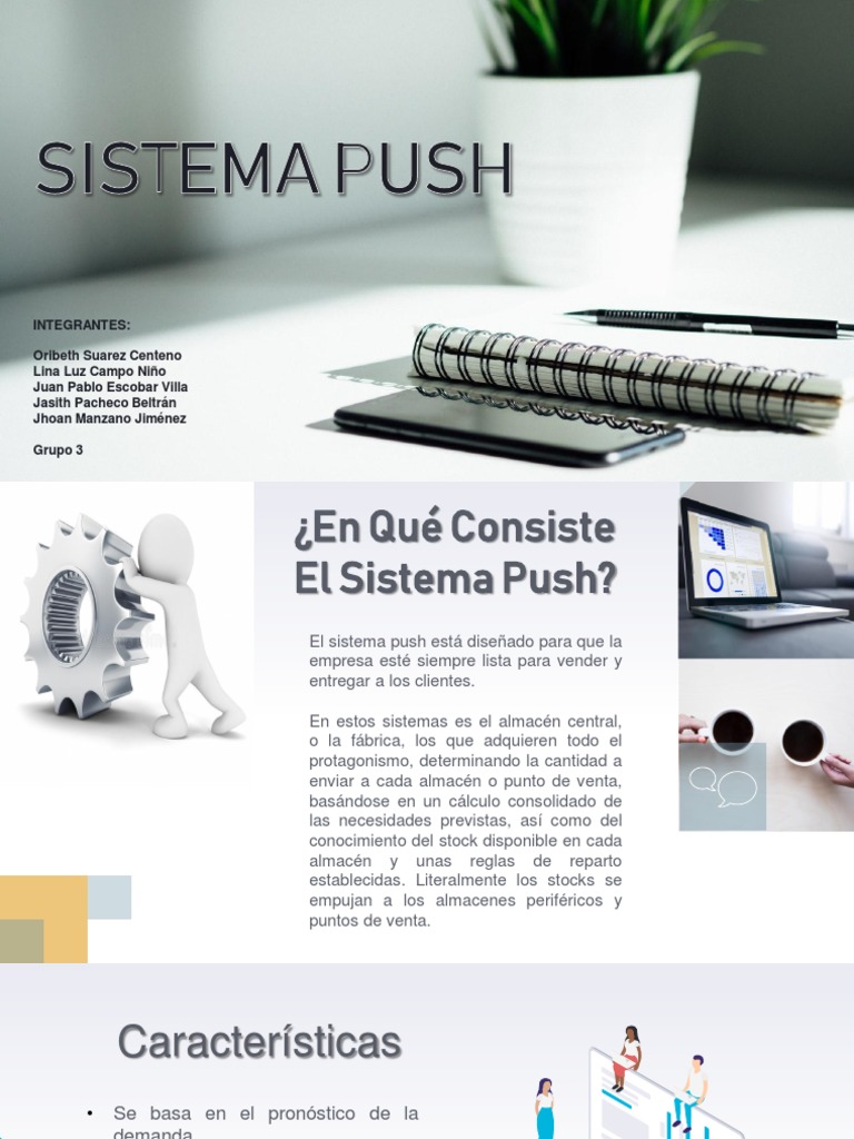 Sistema Push | PDF | Business | Economias
