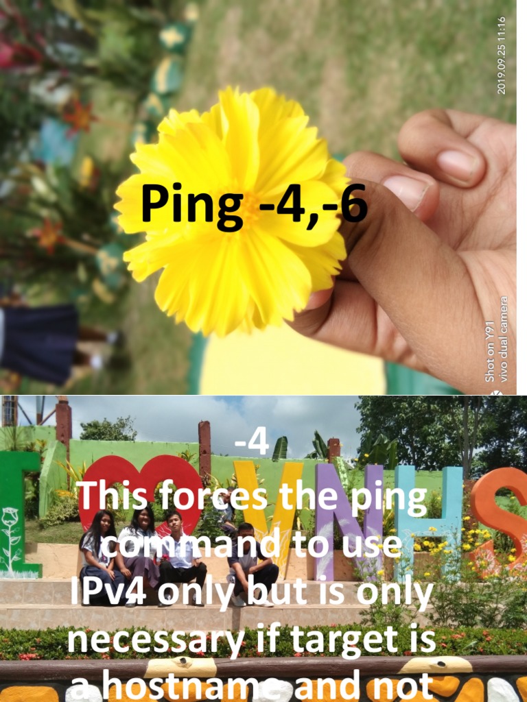Understanding Ping Command Options | PDF