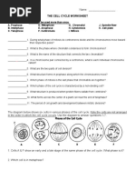 Cellular - Transport - Study - Guide - Answer Key | PDF | Osmosis ...