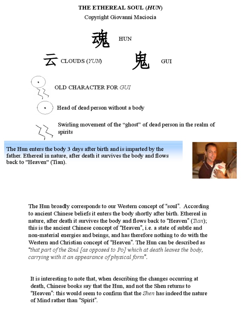 Hun The Ethereal Soul | PDF | Prefrontal Cortex | Executive Functions