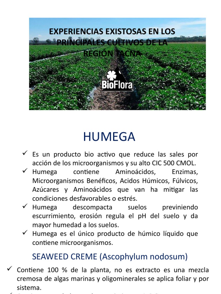 Bioflora en Hortalizas | PDF | Plantas | Suelo