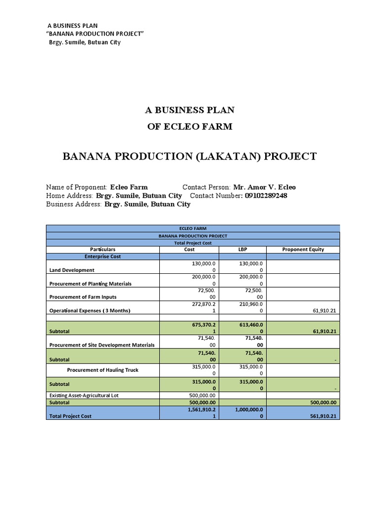 Banana Production (Lakatan) Project: A Business Plan of Ecleo Farm | PDF | Internal Rate Of ...