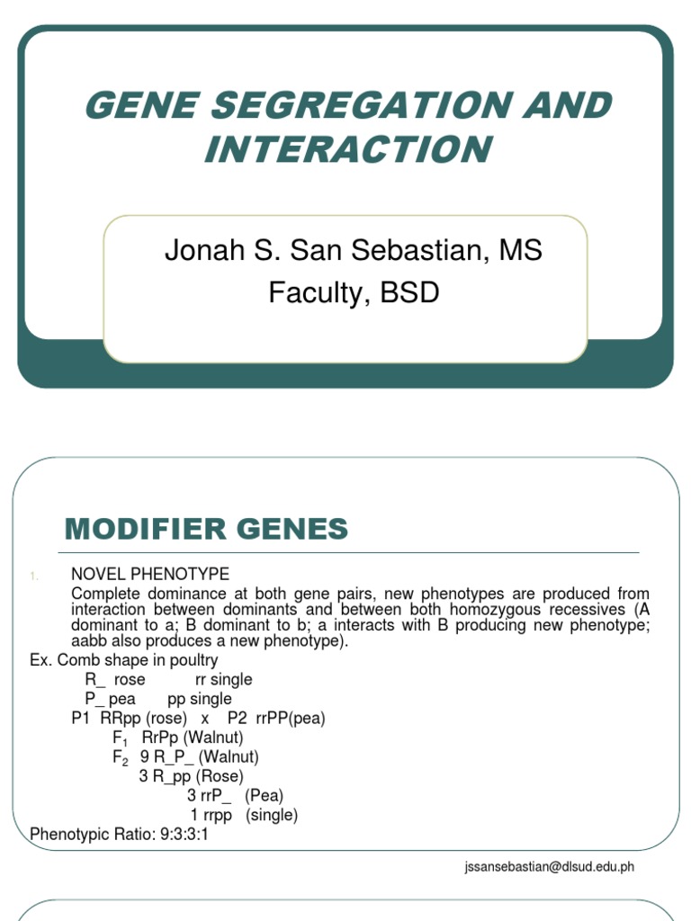 Gene Segregation and Interaction: Jonah S. San Sebastian, MS Faculty ...
