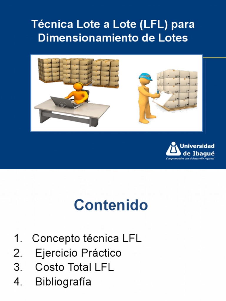 Técnica Lote a Lote (LFL) en Inventarios | PDF | Inventario | Gestión ...