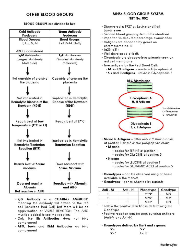 Other Blood Groups: Mnss Blood Group System | PDF | Blood Type | Antibody