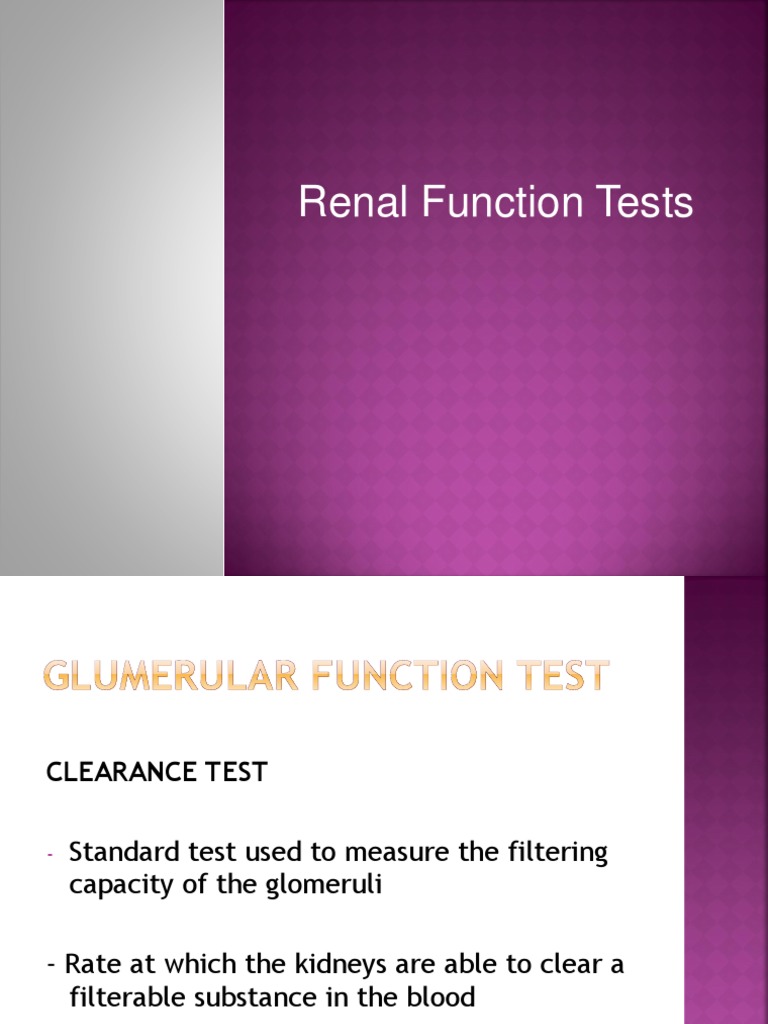 Renal Function Test | PDF
