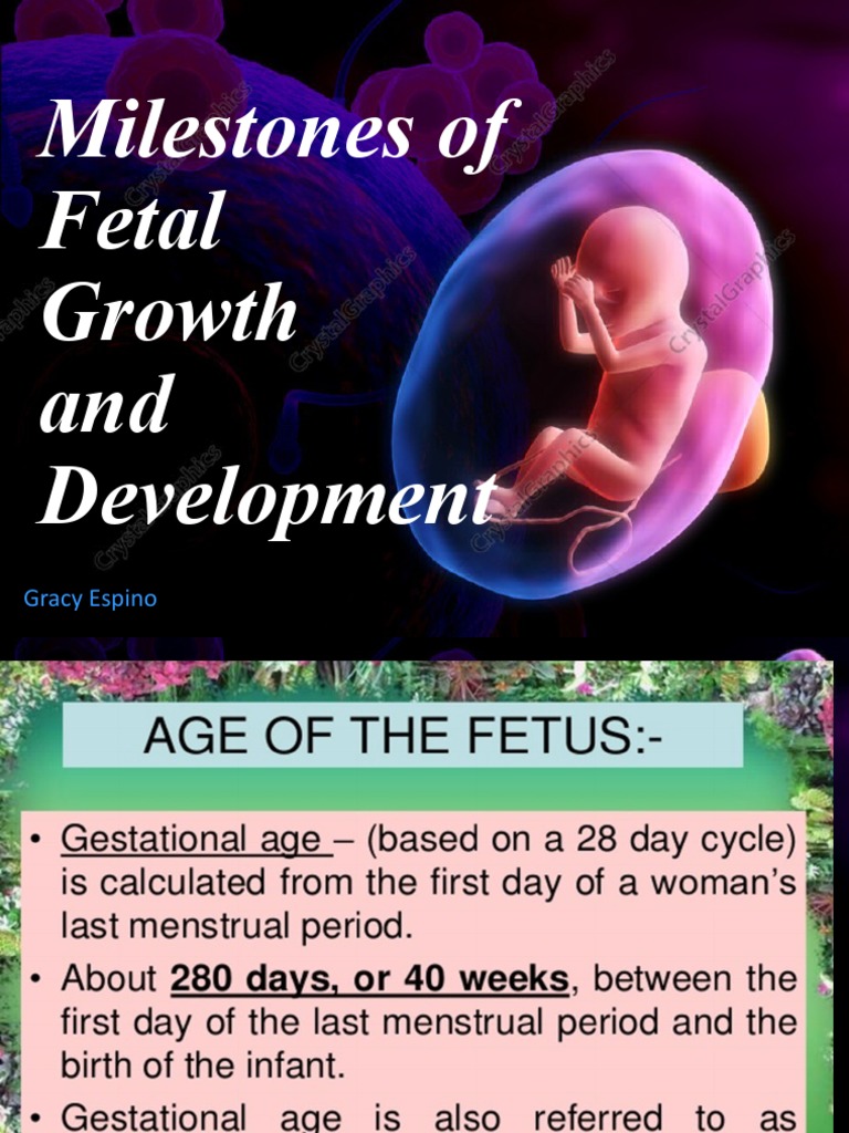 Milestones of Fetal Growth and Development: Gracy Espino | PDF | Fetus ...