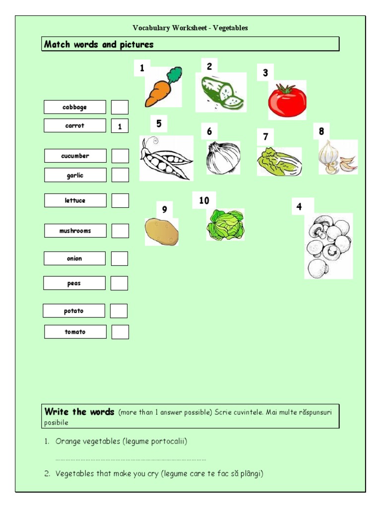 Vocabulary Matching Worksheet Vegetables Fun Activities Games - 3922 | PDF