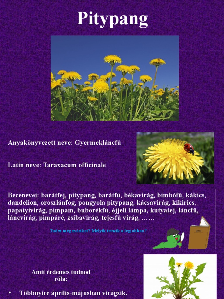 Pitypang | PDF