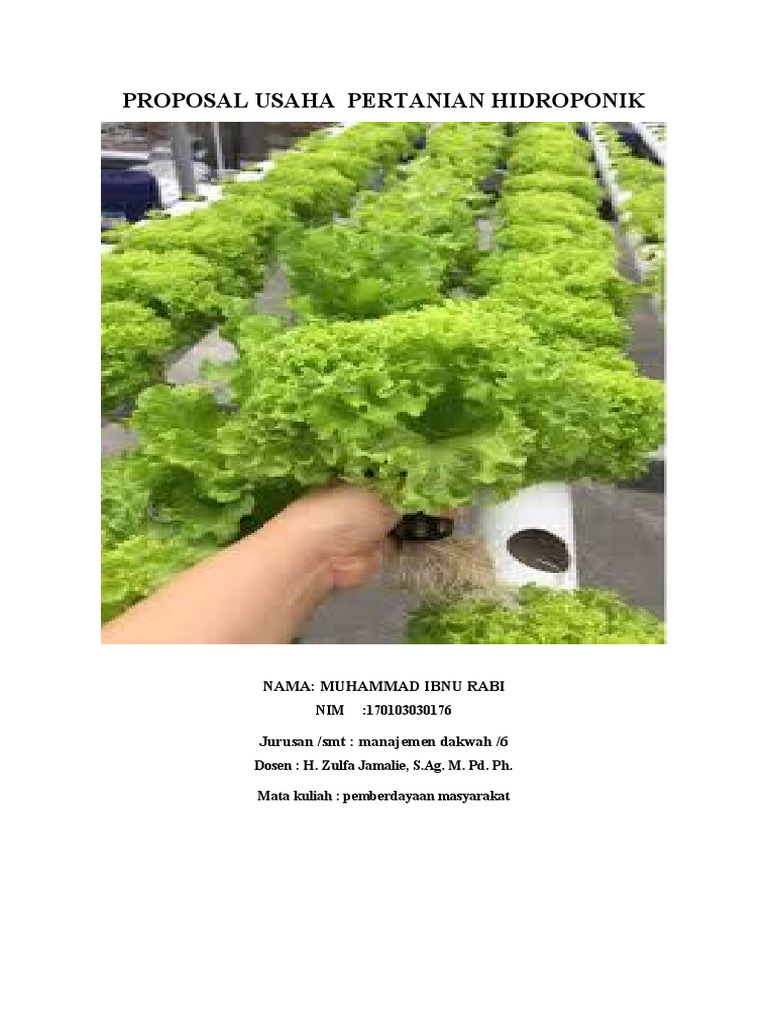 Proposal Usaha Pertanian Hidroponik | PDF