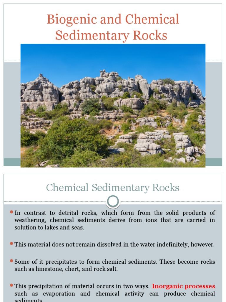 Biogenic and Chemical Sedimentary Rocks: Unit 3 | PDF | Limestone ...