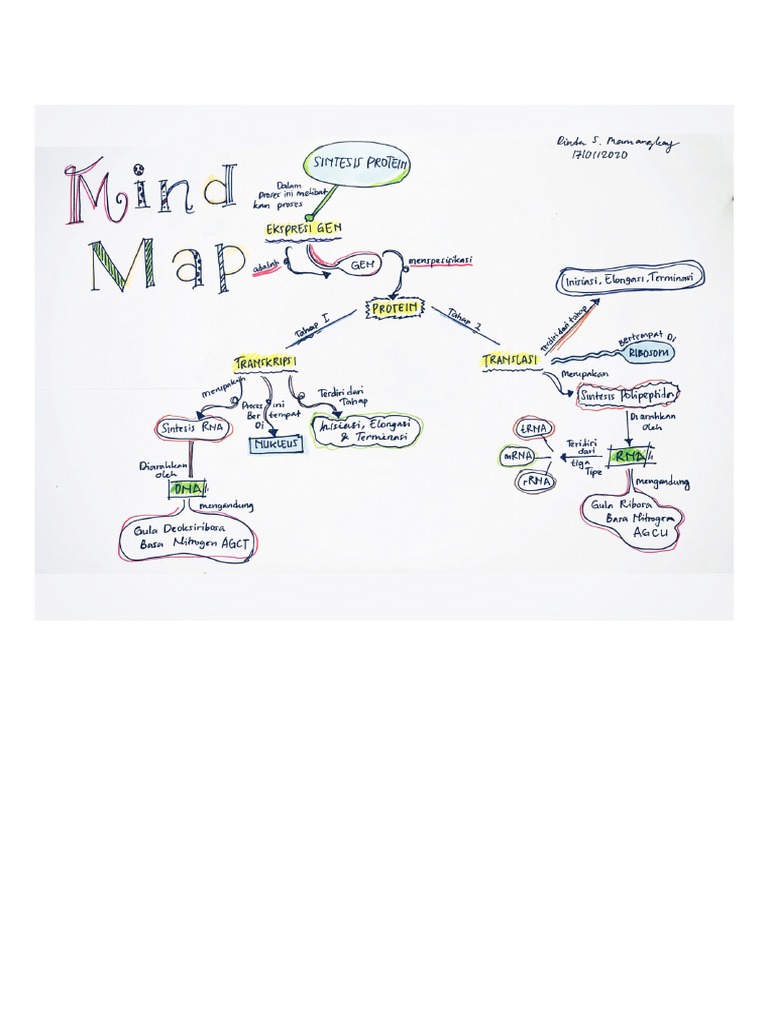 Mind Map - Sintesis Protein | PDF