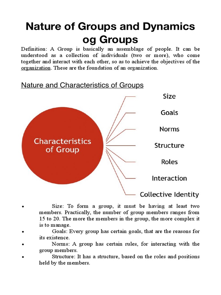 Understanding Groups: Definitions, Characteristics, Dynamics and Types | PDF | Goal | Behavior