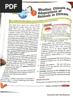 SST UAE TextBook Term2 | PDF