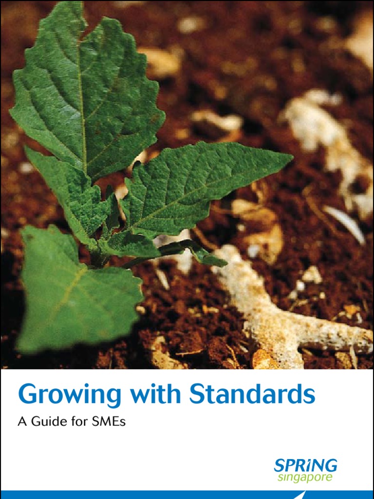 Growing With Standards: A Guide For Smes | PDF | Standardization ...