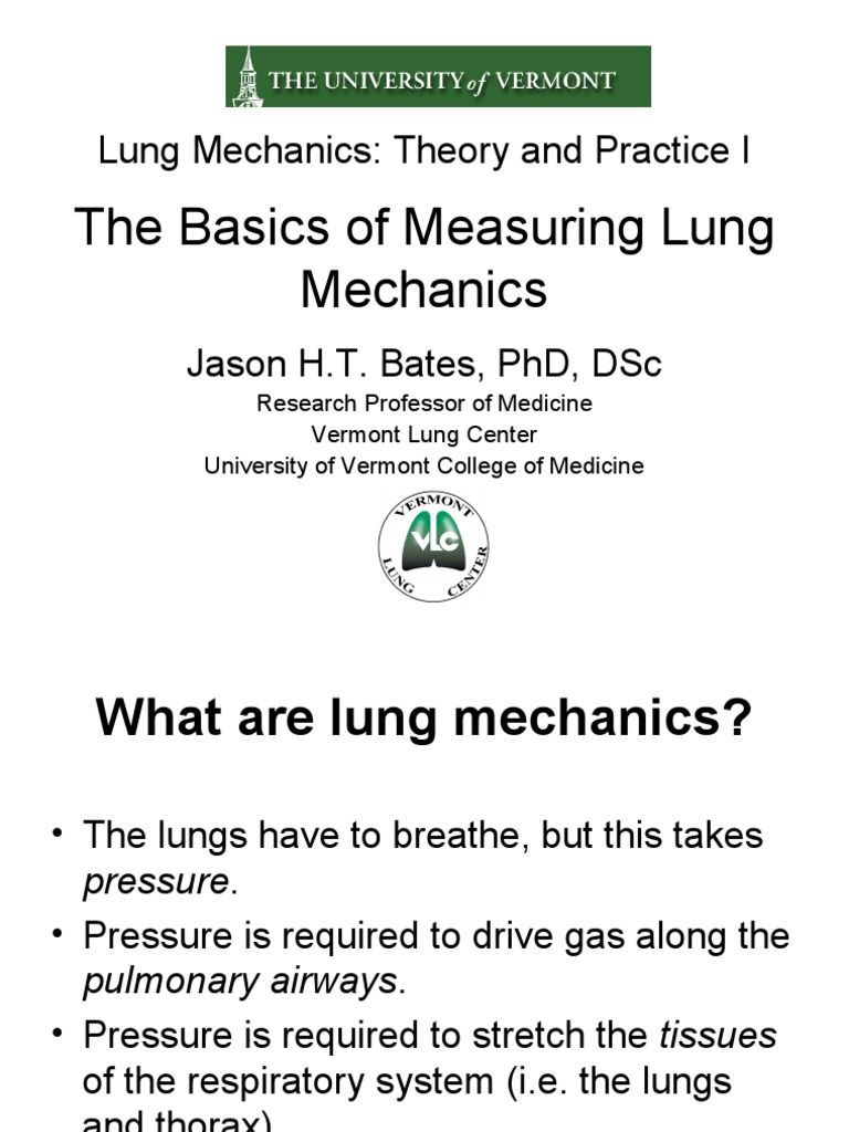 Lung Mechanics | PDF | Lung | Respiratory System