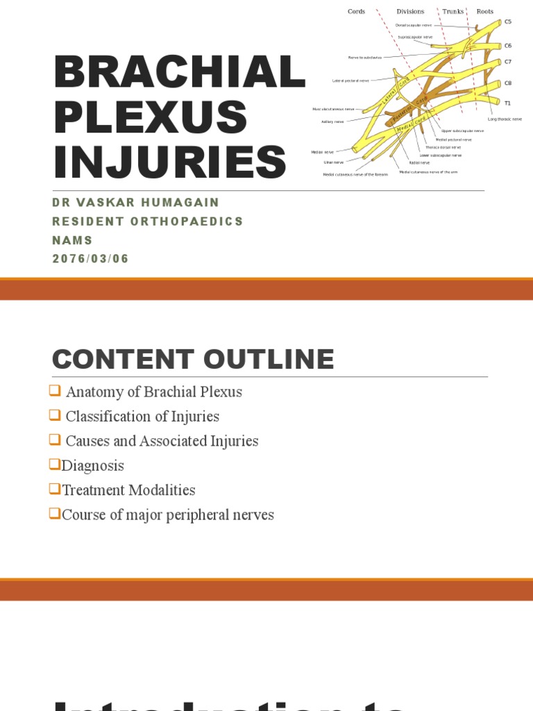 Brachial Plexus Injuries | PDF | Arm | Limbs (Anatomy)