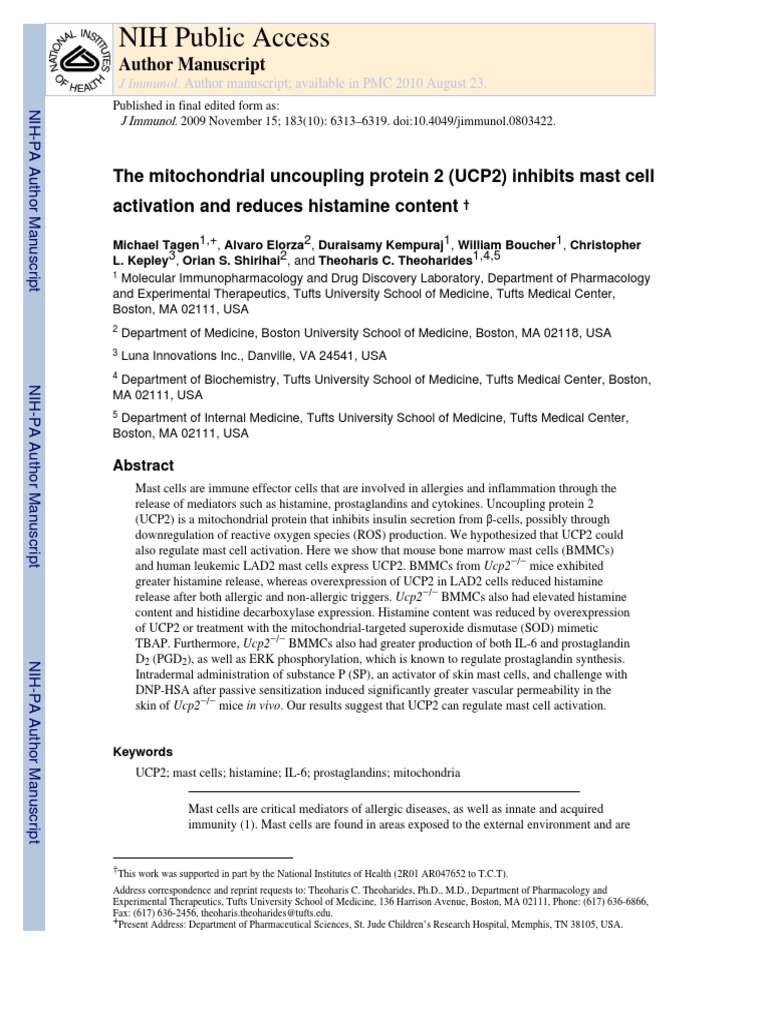The Mitochondrial Uncoupling Protein 2 (UCP2) Inhibits Mast Cell ...