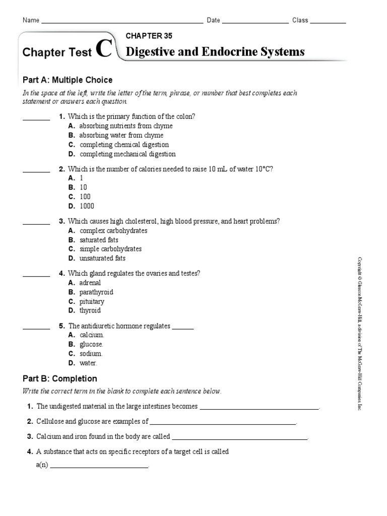 Digestive and Endocrine Systems: Chapter Test | PDF | Hormone ...
