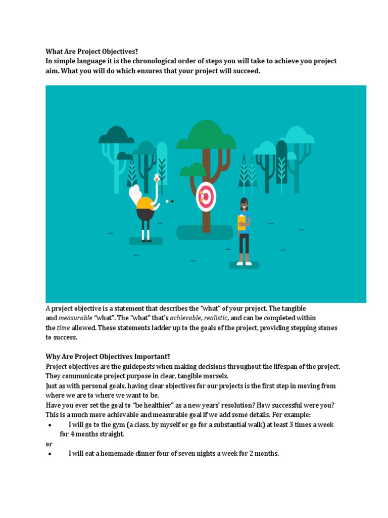 What Are Project Objectives | PDF | Goal | Cognition