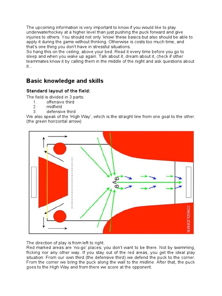 Underwater Hockey: Essential Skills Guide | PDF | Sports Rules And ...