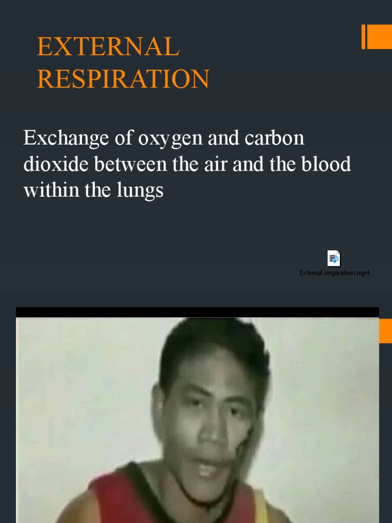 External Respiration: Exchange of Oxygen and Carbon Dioxide Between The ...