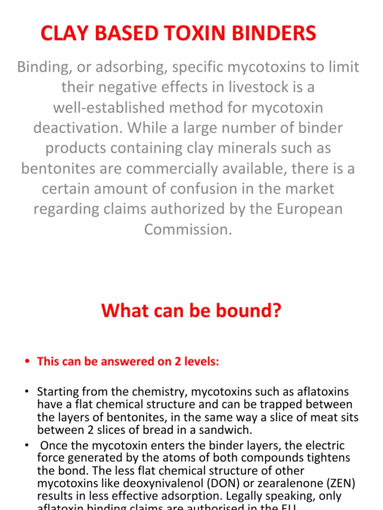 Clay Based Toxin Binders | PDF | Mycotoxin | Antioxidant