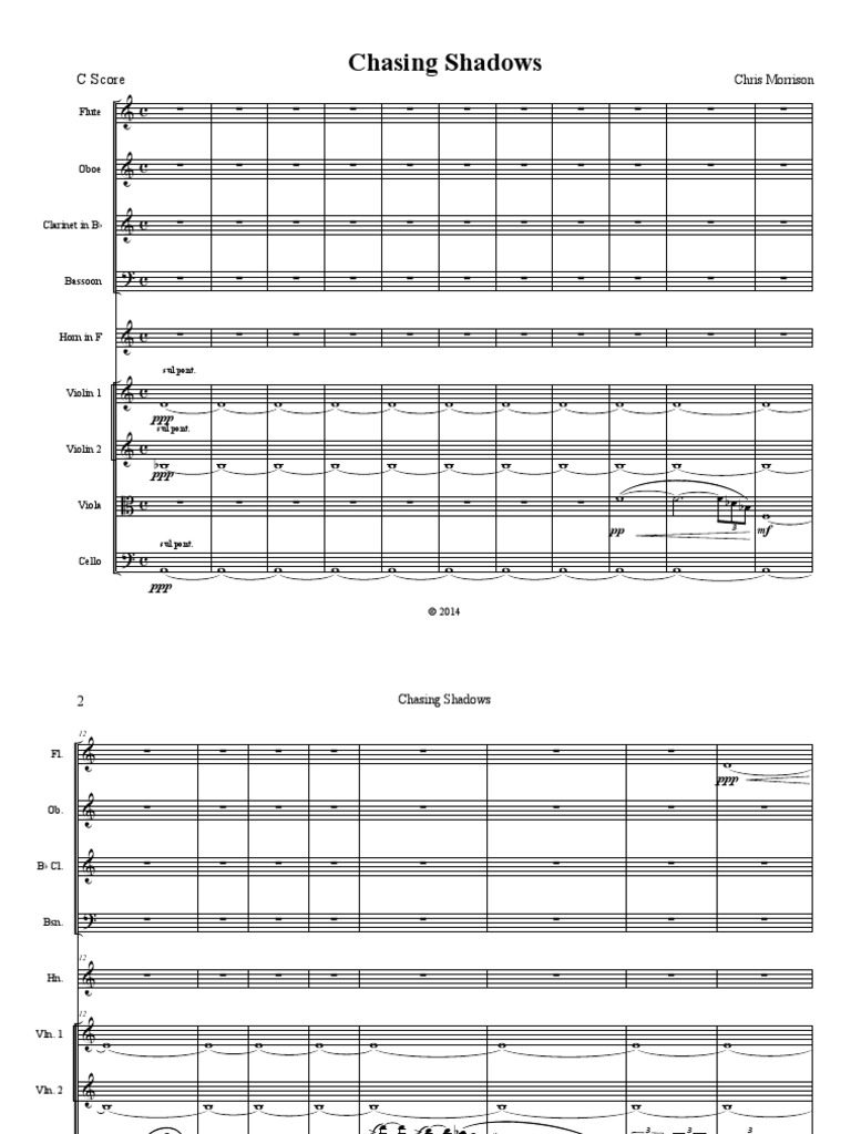 Chasing Shadows | PDF