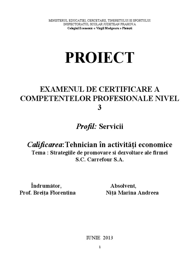 Atestat Carrefour | PDF