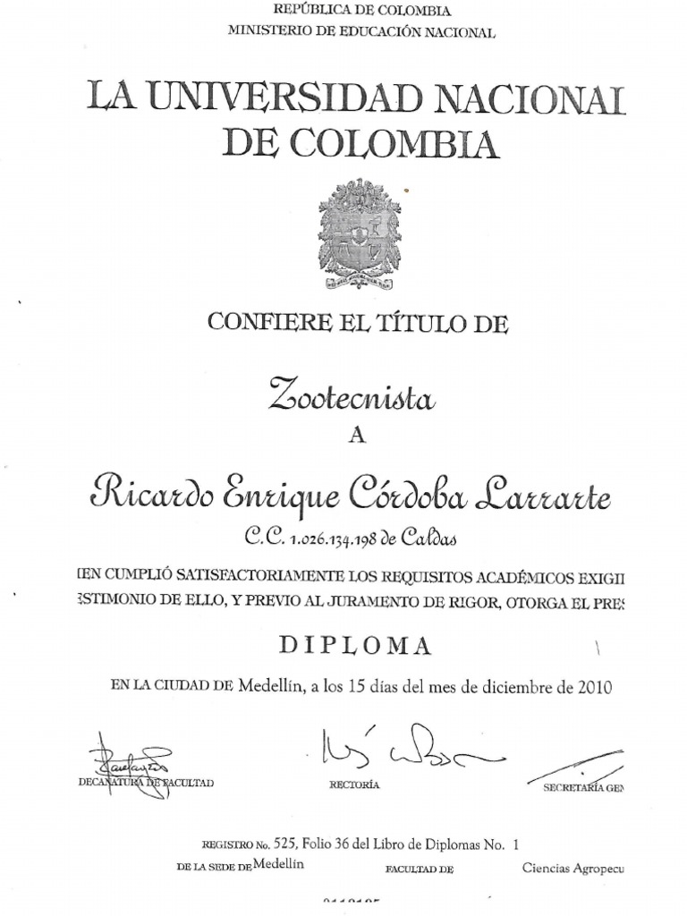 Diploma Universidad PDF | PDF