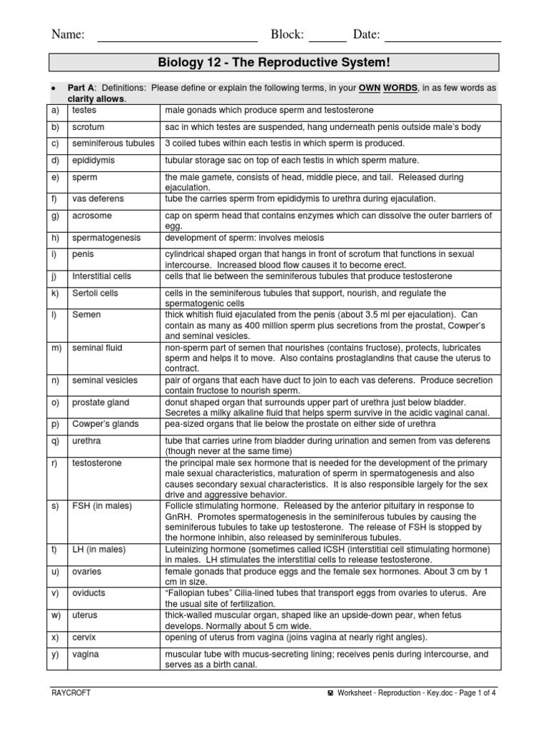 Biology 12 Reproductive System Overview | PDF | Menstrual Cycle ...
