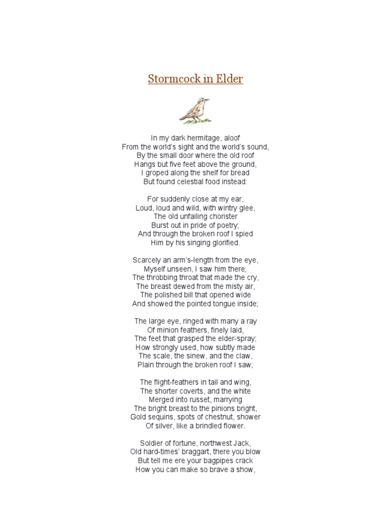 Stormcock in Elder | PDF | Poetry