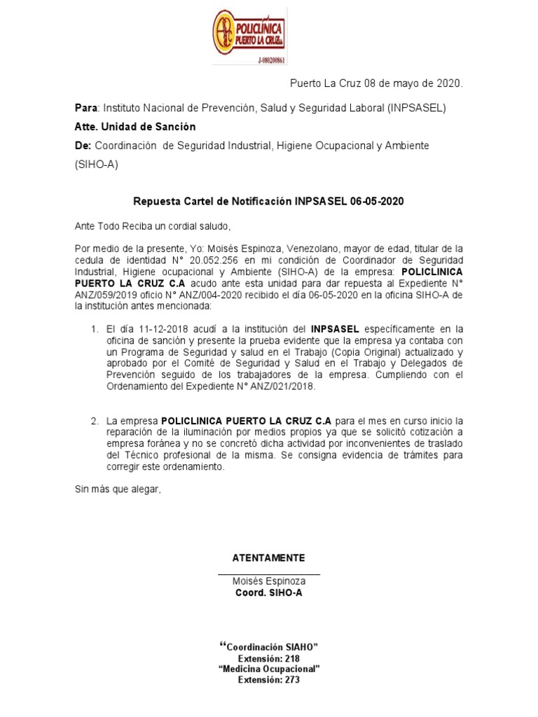 Informe Inpsasel | PDF