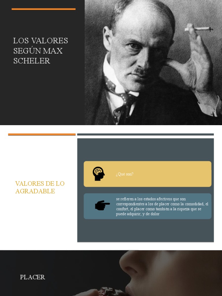 Los valores según Max Scheler: Placer, riqueza y hedonismo | PDF ...