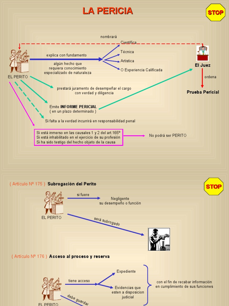 La Pericia | PDF | Testigo experto | Experto