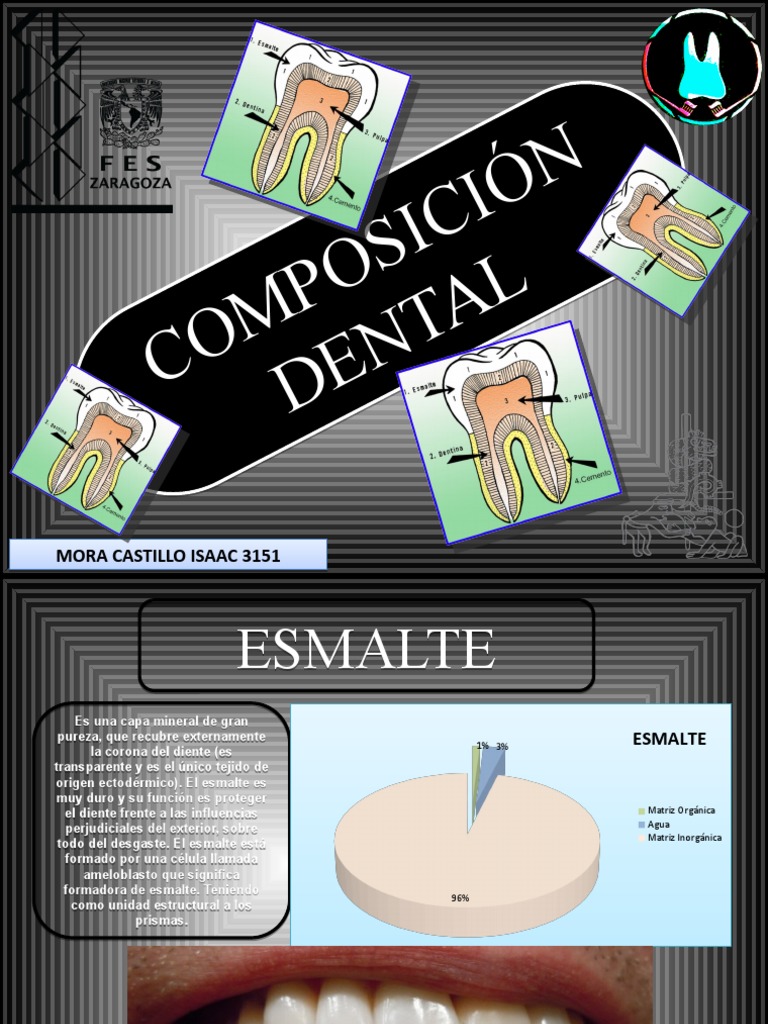 Composición Dental. | PDF | Esmalte de dientes | Dentina