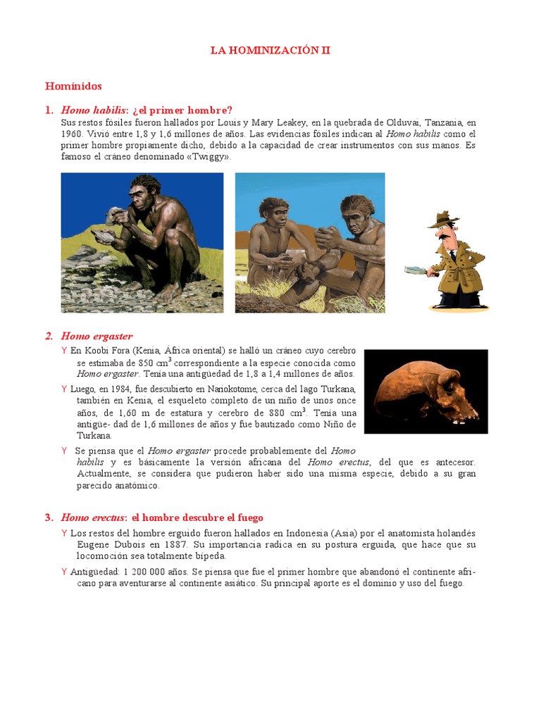 La Hominización II para Primer Grado de Secundaria | PDF | Homo ...