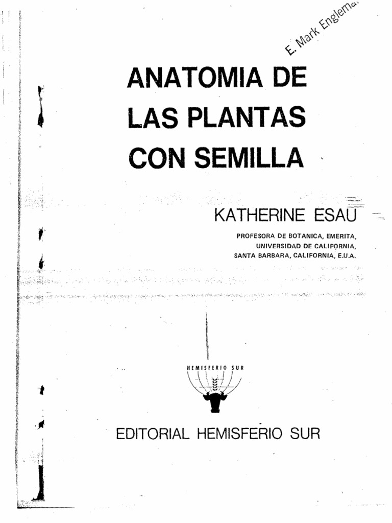 Esau - Anatomia de Las Plantas Con Semill PDF | PDF | Raíz | Tallo de ...
