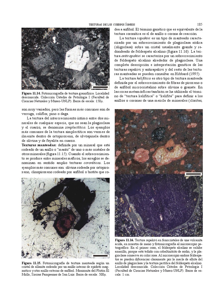 Texturas en Rocas Ígneas | PDF | Granito | Minerales