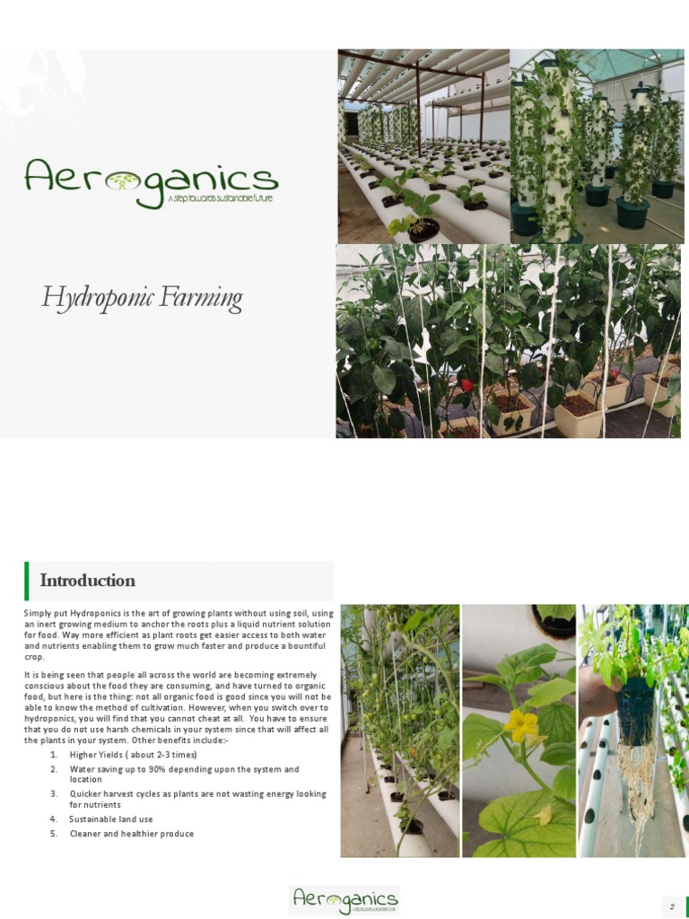 An Overview of Hydroponic Farming Methods, Crop Selection, Setup ...