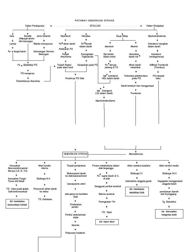 Pathway Hemoragik Stroke | PDF