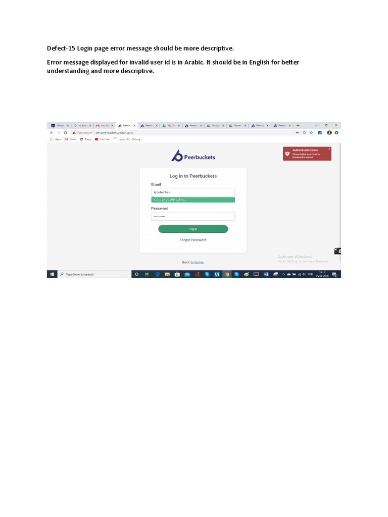Defect 15-Login Page Error Message | PDF