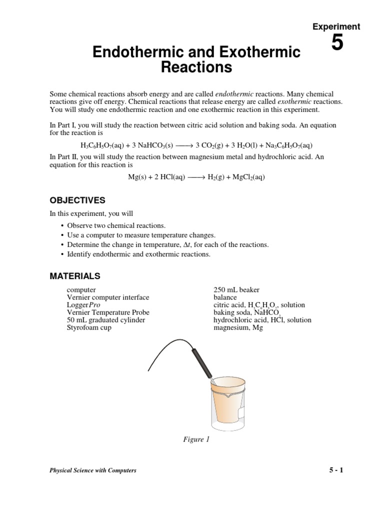 Endothermic And Exothermic Reactions Temperature Change