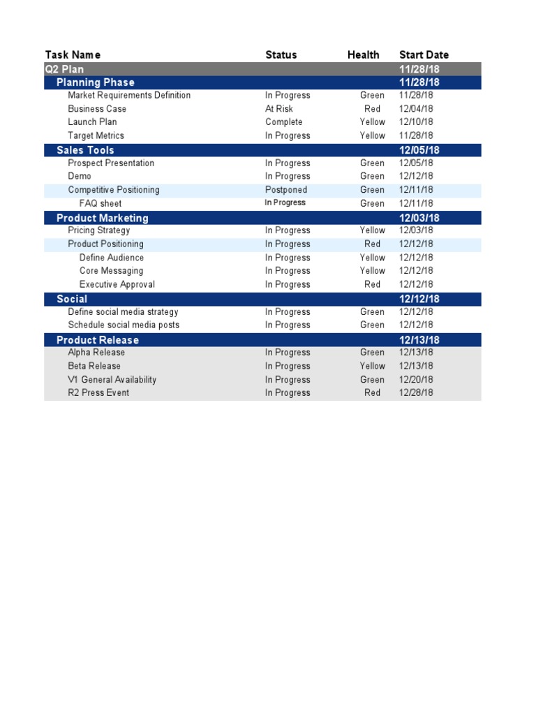 Project Launch Plan | PDF | Software Release Life Cycle | Business