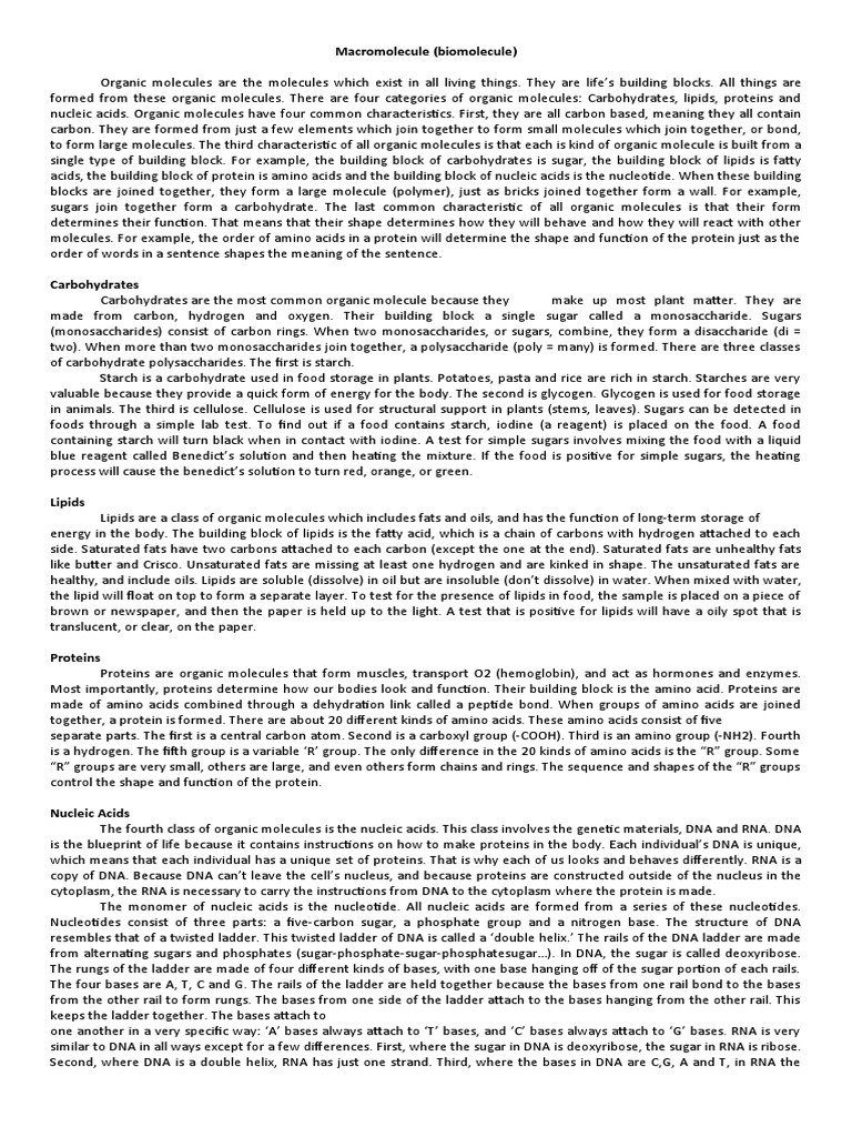 Reading Passage About Macromolecule | PDF | Carbohydrates | Nucleic Acids